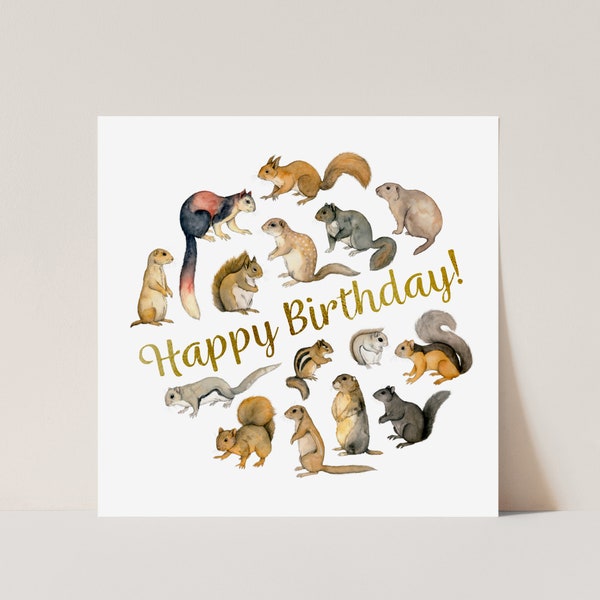 Squirrel Happy Birthday - Etsy