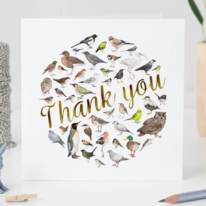 Bird Thank You Card - Etsy