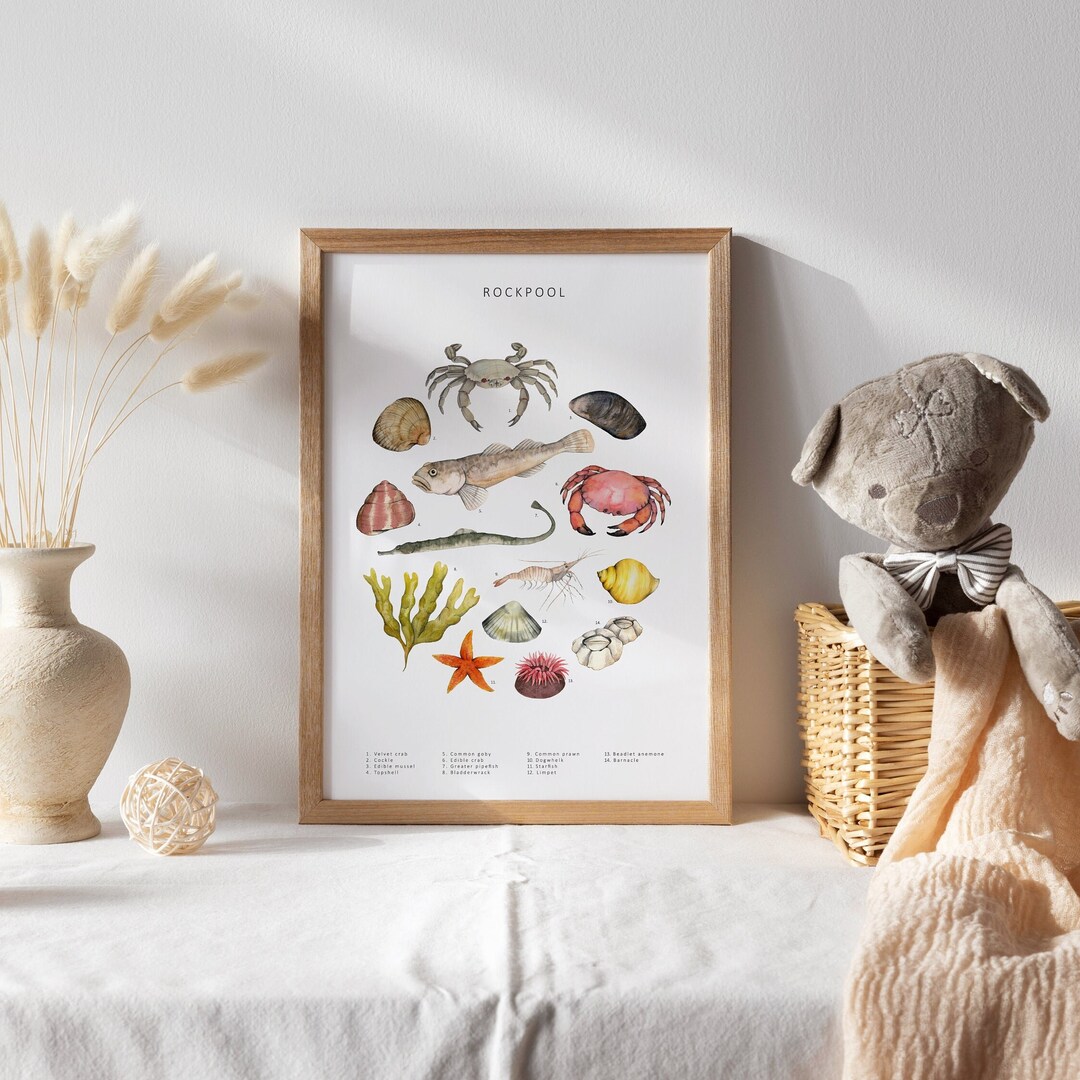 Rockpool Art Watercolour Print - Etsy