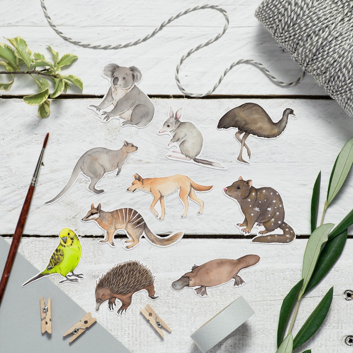 Australian Animal Sticker Set - Etsy UK