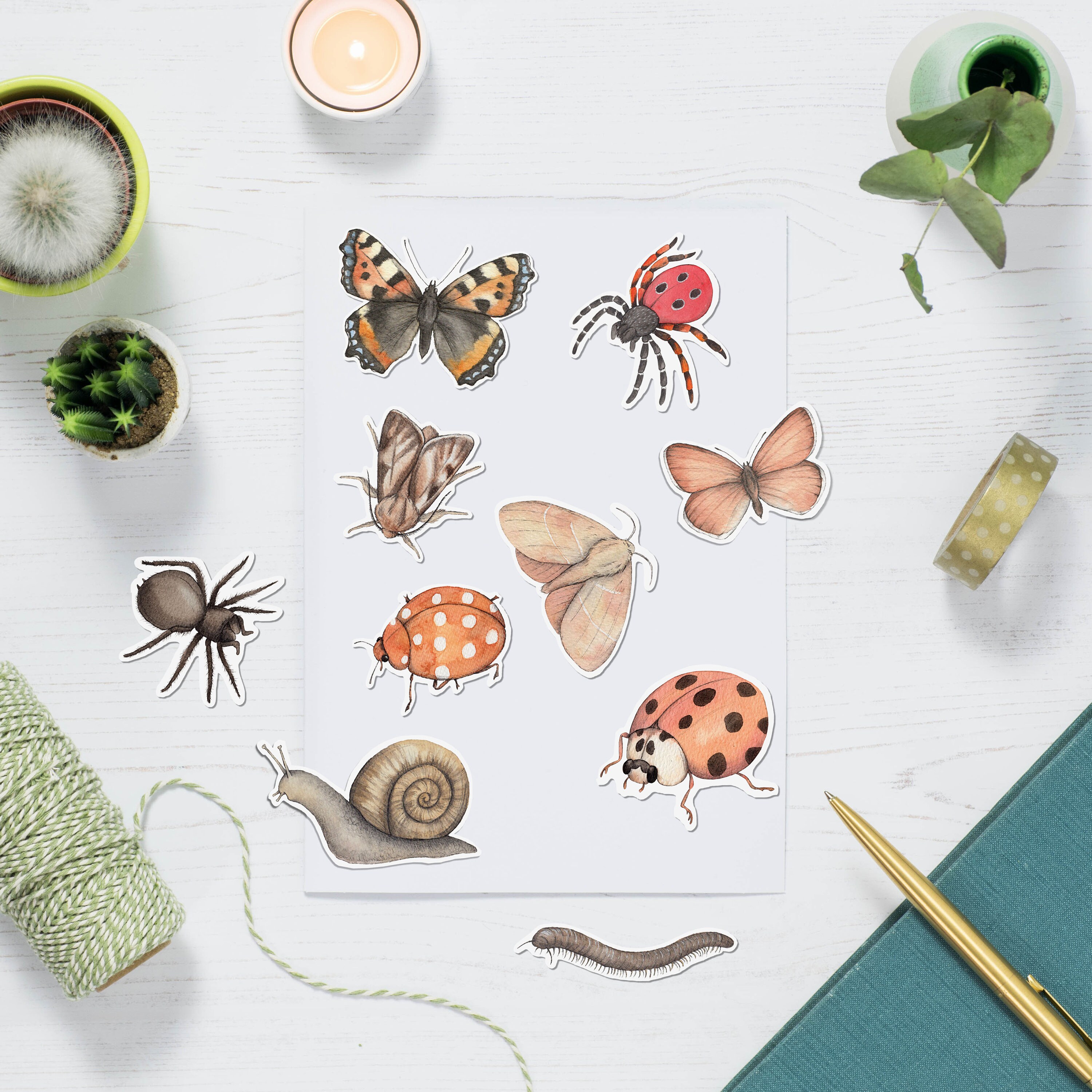 Minibeast animal stickers | Etsy