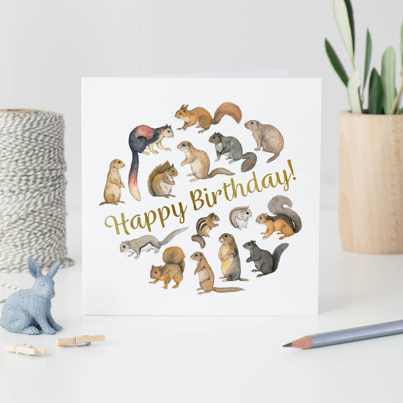 Squirrel Birthday Card - Etsy