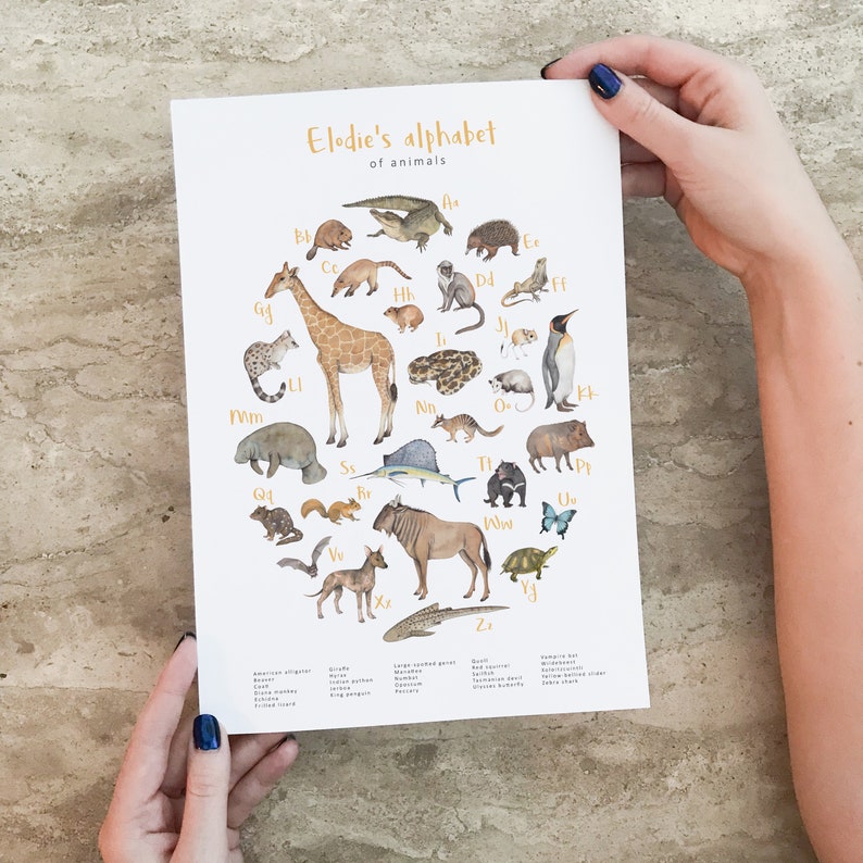 Animal Alphabet Personalised Print - Etsy