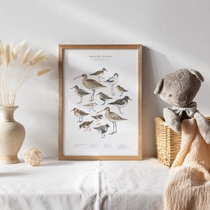 Wading Bird Watercolour Print Bird Wall Art - Etsy