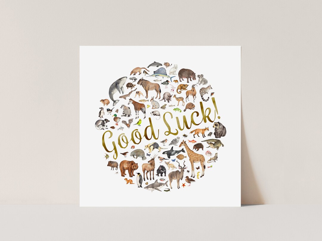 Good Luck Card With Animal Illustrations - Etsy