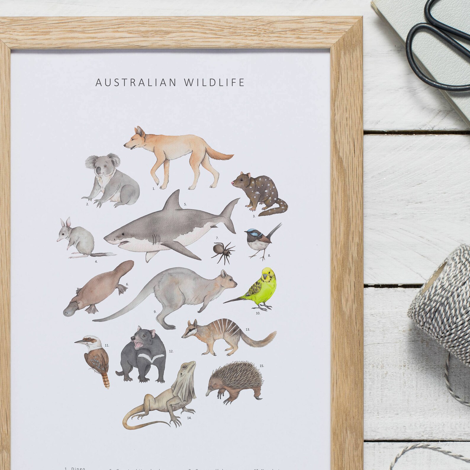 Australian animals watercolour print | Etsy