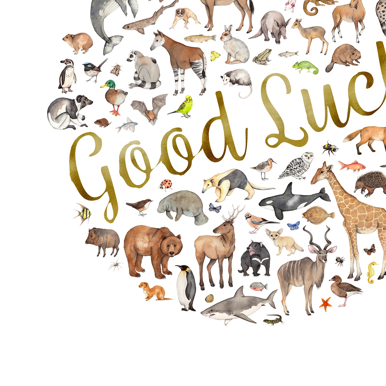 Good Luck Card With Animal Illustrations - Etsy