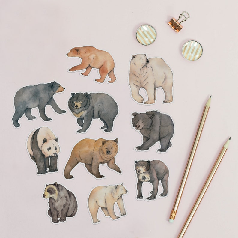 Bear Sticker Set - Etsy UK