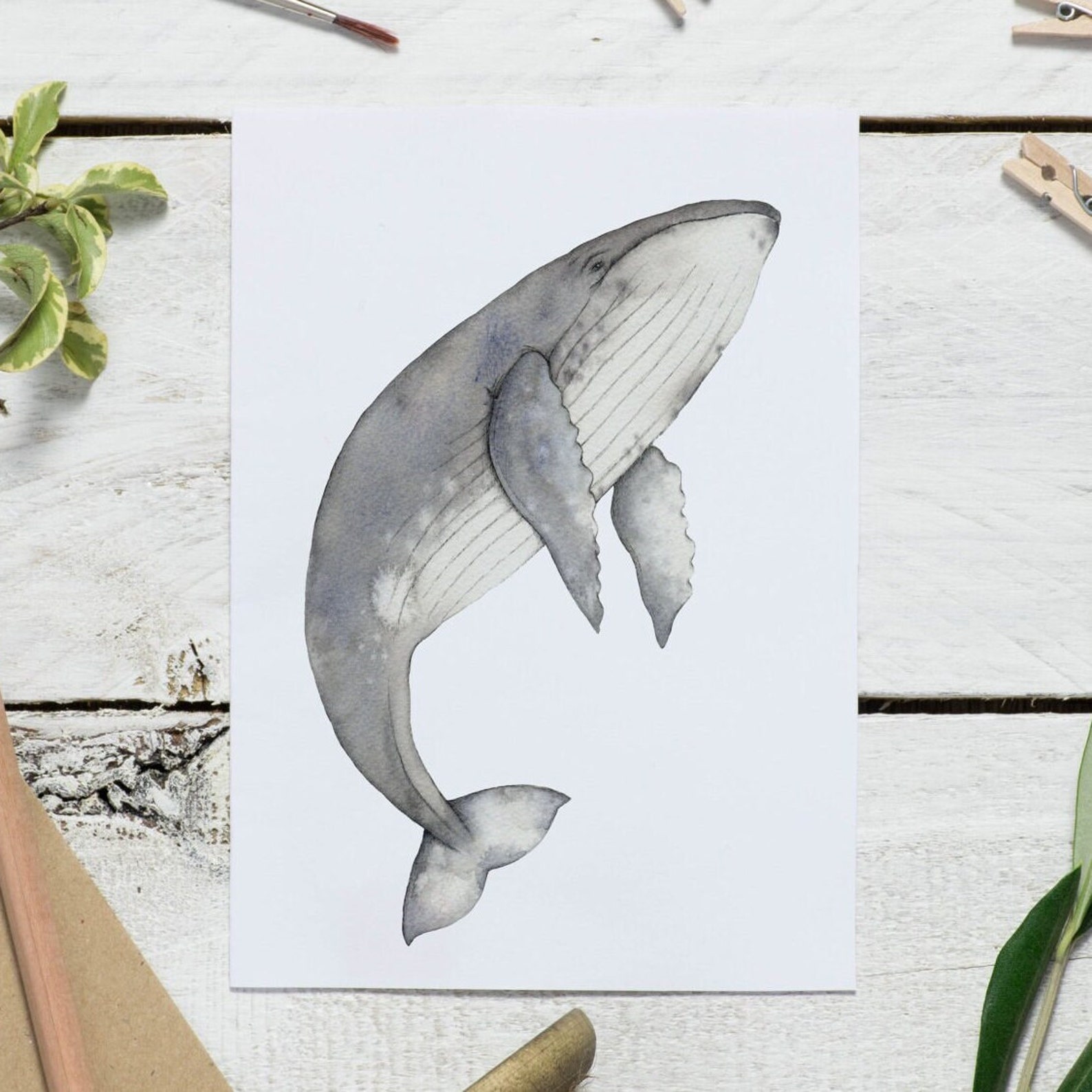 Humpback Whale Postcards - Set of Two - Etsy