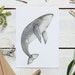 Humpback Whale Postcards - Set of Two - Etsy