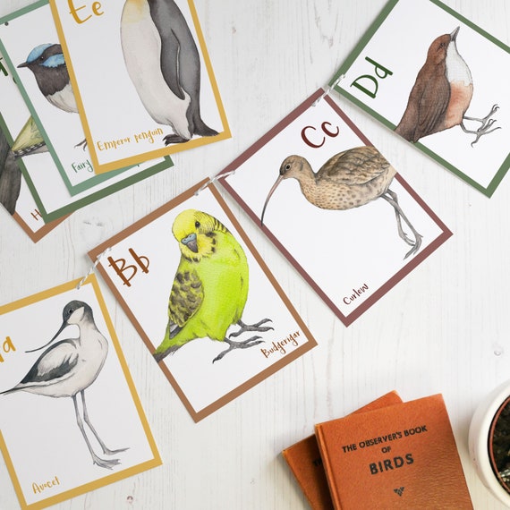 Bird Alphabet Paper Bunting | Etsy UK