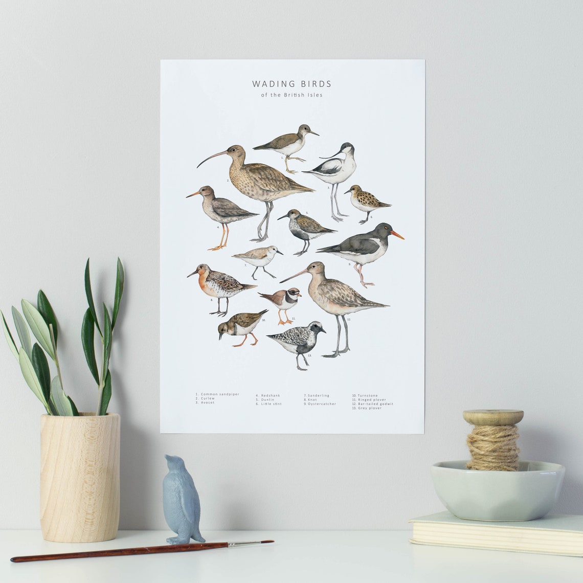 Wading Bird Watercolour Print Bird Wall Art - Etsy