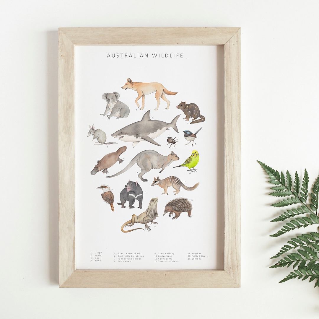 Australian Animals Watercolour Print - Etsy