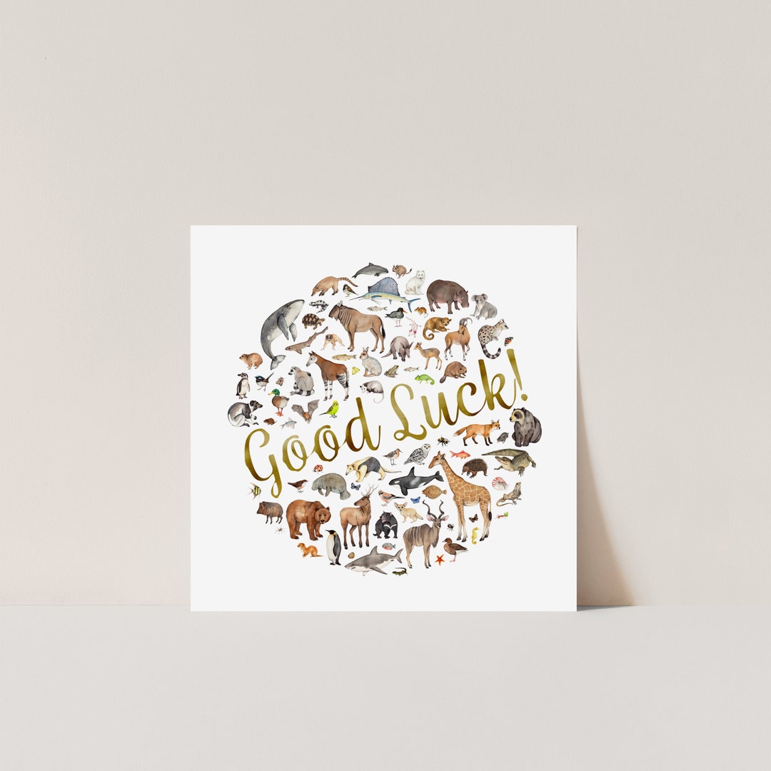 Good Luck Card With Animal Illustrations - Etsy