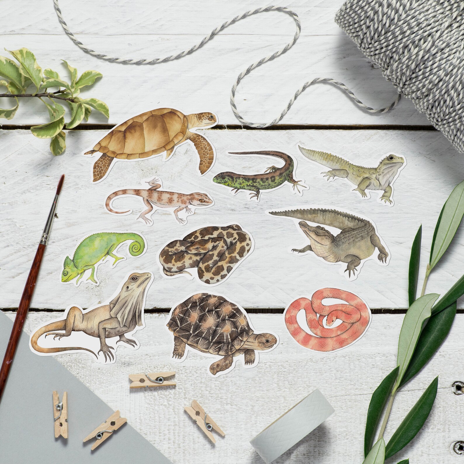 Reptile Sticker Pack Watercolour Animal Illustrations - Etsy UK