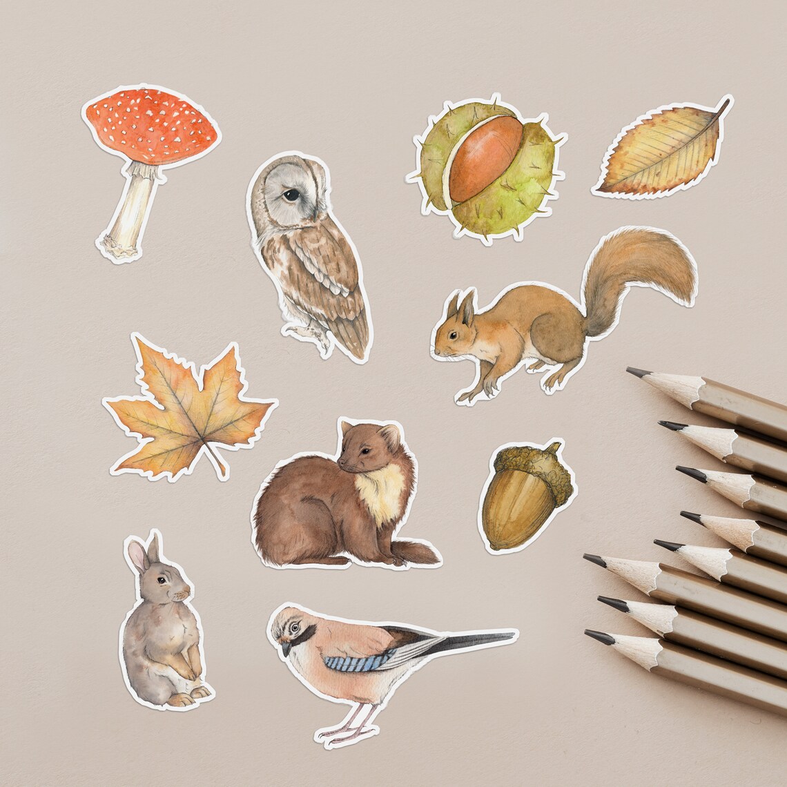 Woodland Animal Stickers Set - Etsy