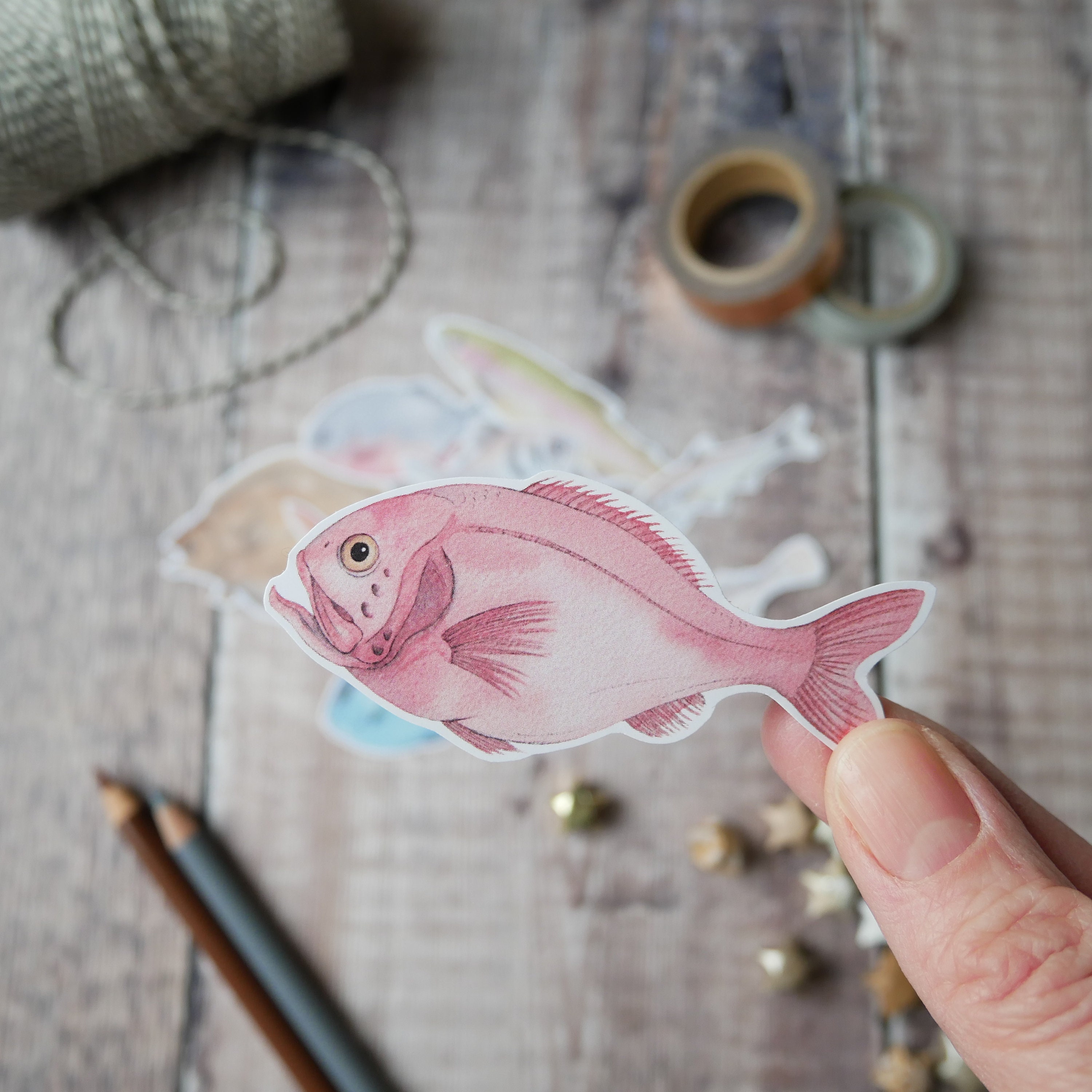Watercolour Fish Animal Stickers - Etsy UK