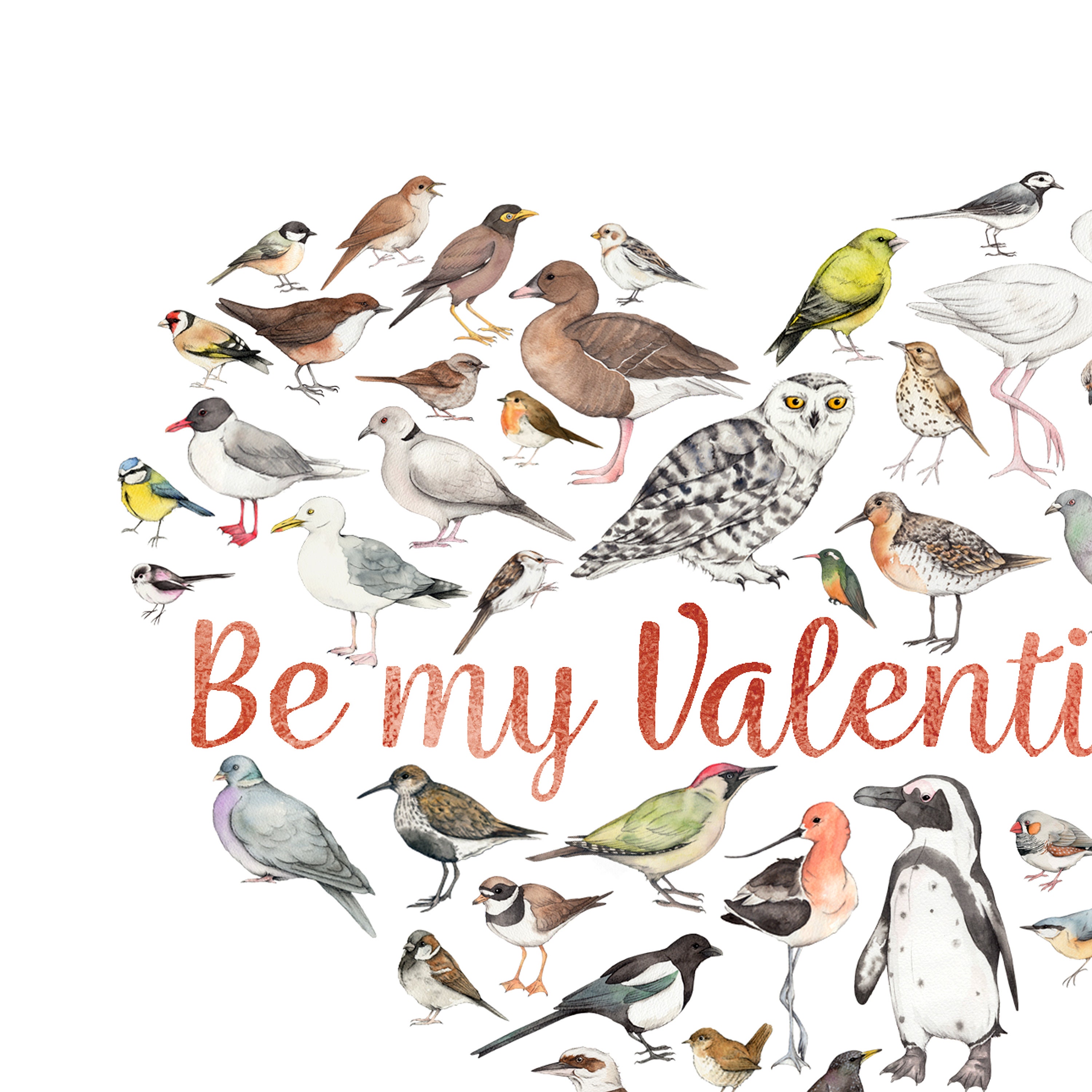 Bird Valentine's Day Card | Etsy