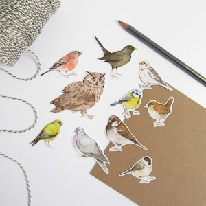 Bird Paper Stickers - Etsy