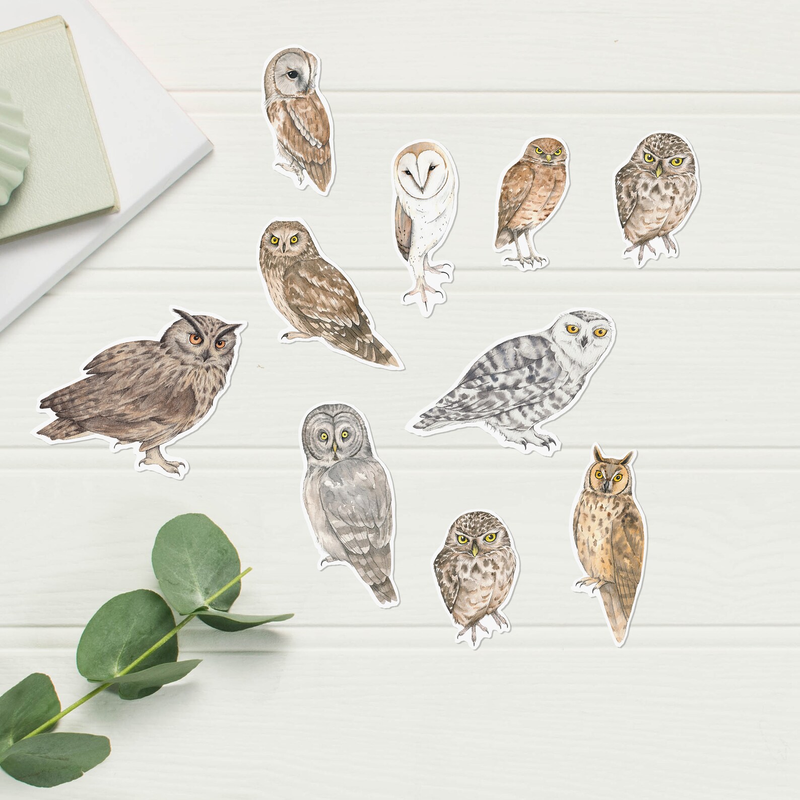 Owl Sticker Pack - Watercolour Bird Illustrations - Etsy UK