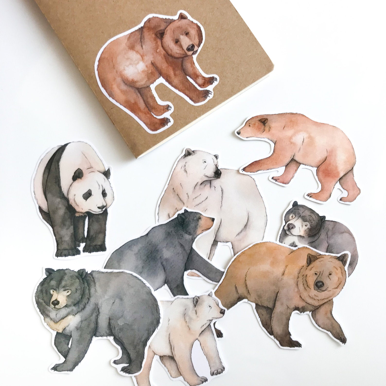 Bear Sticker Set - Etsy UK