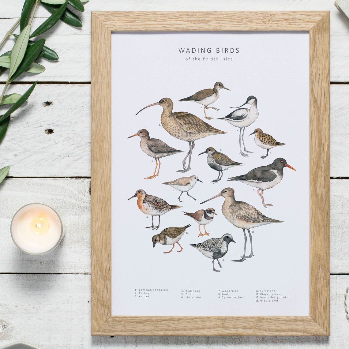 Wading Bird Watercolour Print Bird Wall Art - Etsy