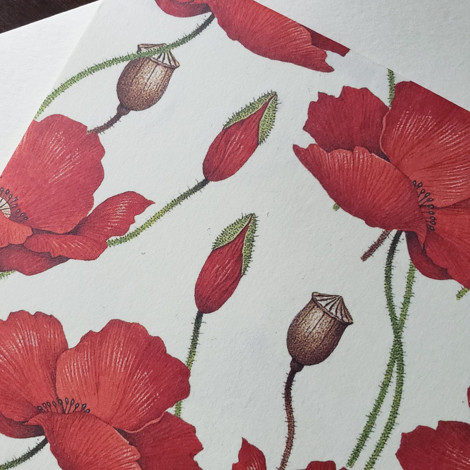 Poppy Blank Notecards Set of 10 - Etsy