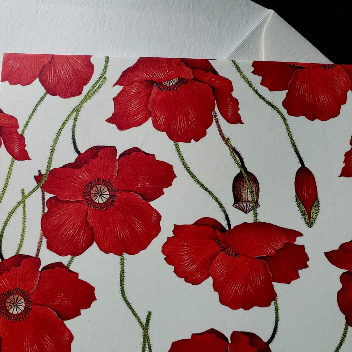 Poppy Blank Notecards- Set of 10 - Etsy