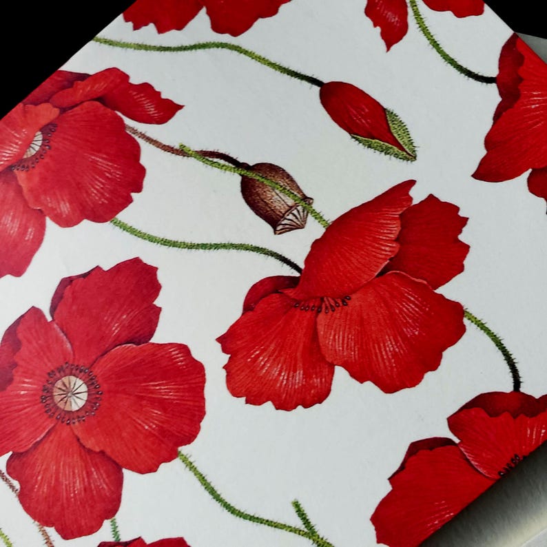 Poppy Blank Notecards- Set of 10 - Etsy