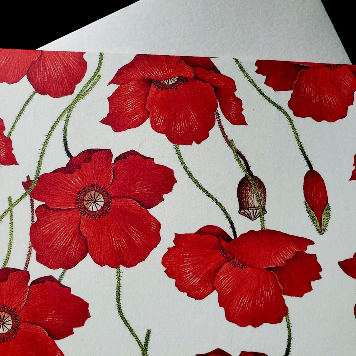 Poppy Blank Notecards- Set of 10 - Etsy