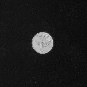 Canada Post 1999-2000 Official Millennium Keepsake Dove Coin and Stamps ...