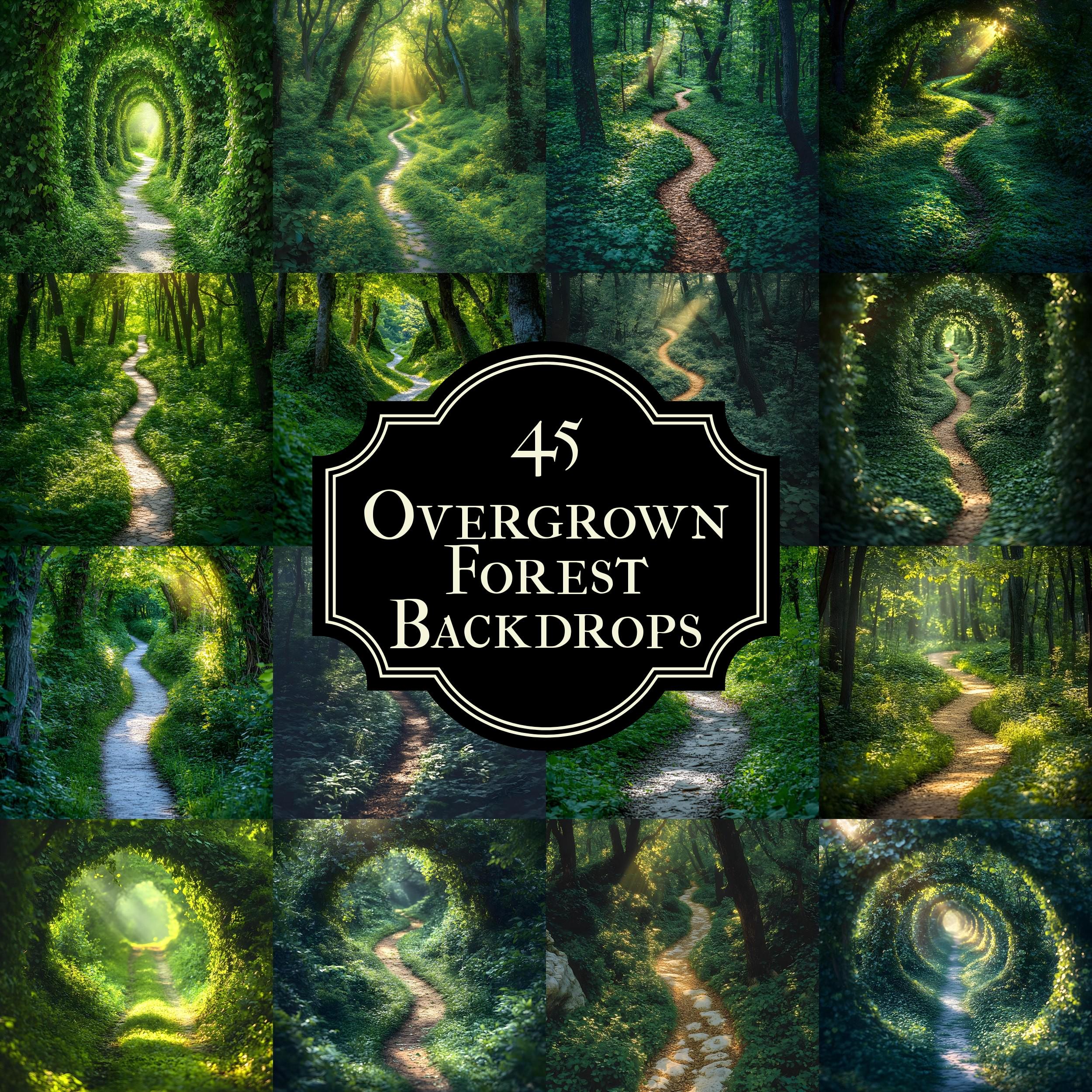 45 Overgrown Forest Digital Backdrops | Woodland, Portrait Backgrounds ...