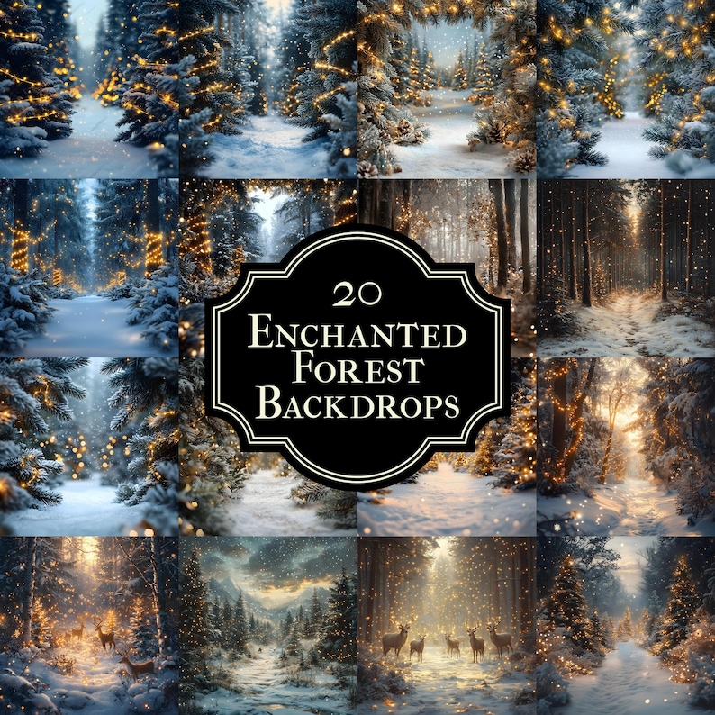 20 Enchanted Forest Backdrops - Magical Digital Backgrounds for ...
