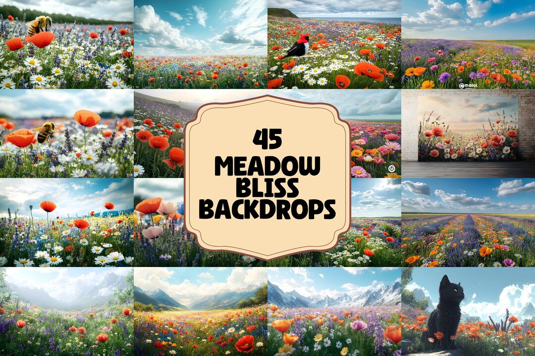 45 Meadow Bliss Backdrops - Stunning Wildflower Fields Landscape ...