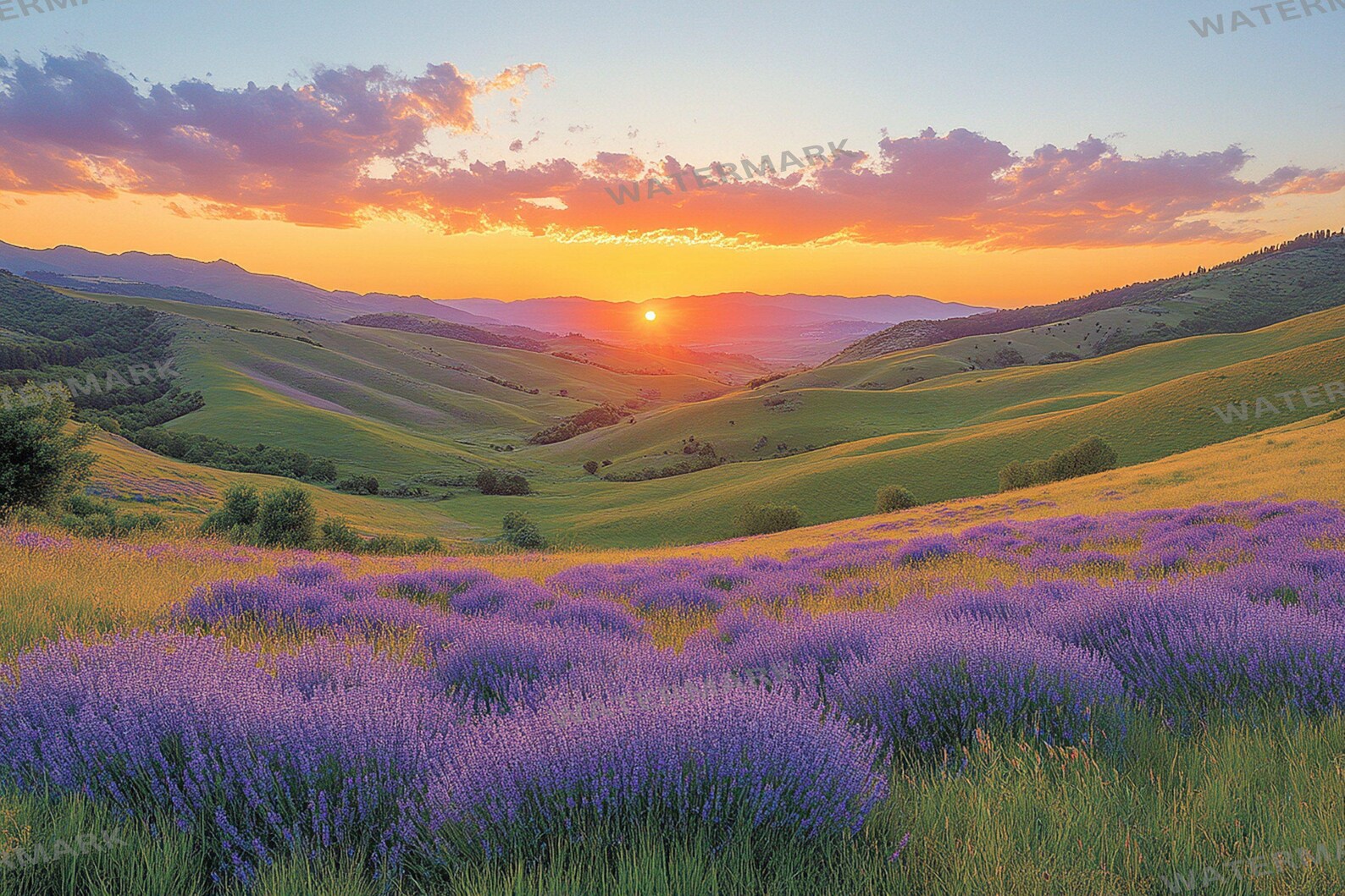 Sunset Rolling Hills Photography Backdrop – Golden Hour Landscape (10 ...