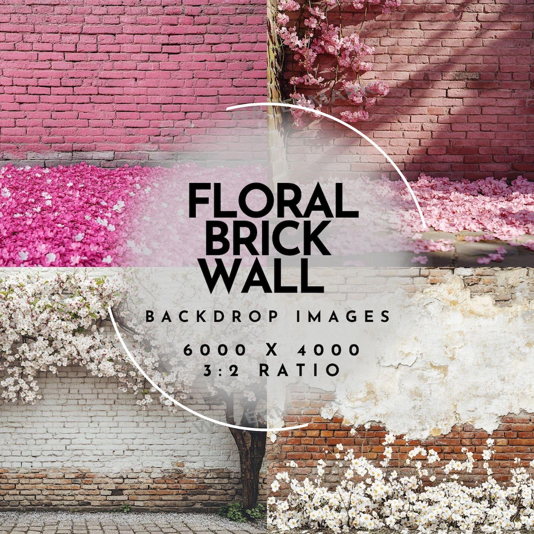 Pink and White Floral Brick Wall Background, Garden View Floral ...
