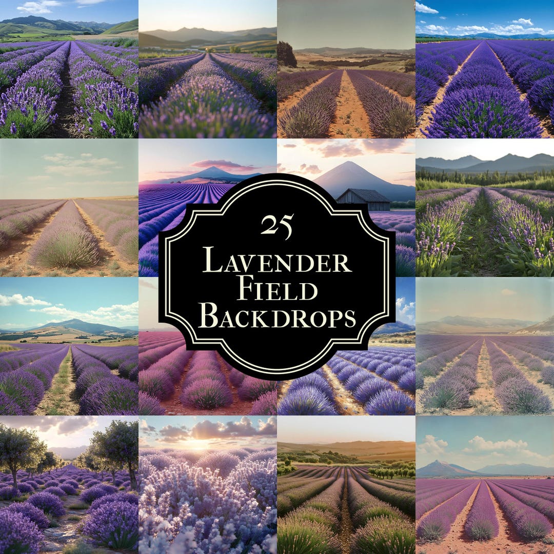 Lavender Field Photography Backdrops – 25 Digital Floral Overlays ...