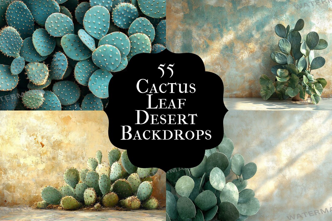 Cactus Desert Digital Backdrops for Photoshop Composites and ...