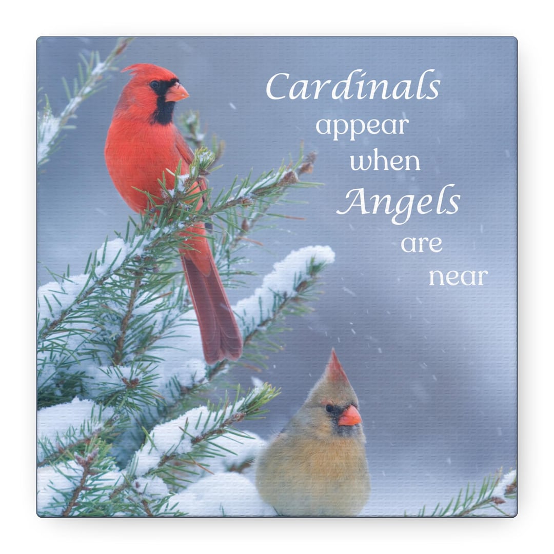 Cardinals Appear When Angels Are Near Canvas, Angel Gift, Cardinal ...