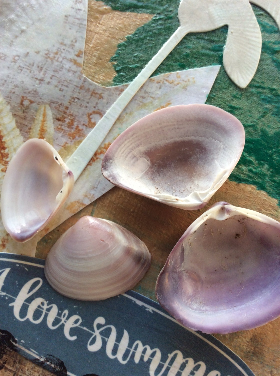 Seashell Collage Art: Recycled Timber, Vintage Stamps (36x20cm) - Etsy