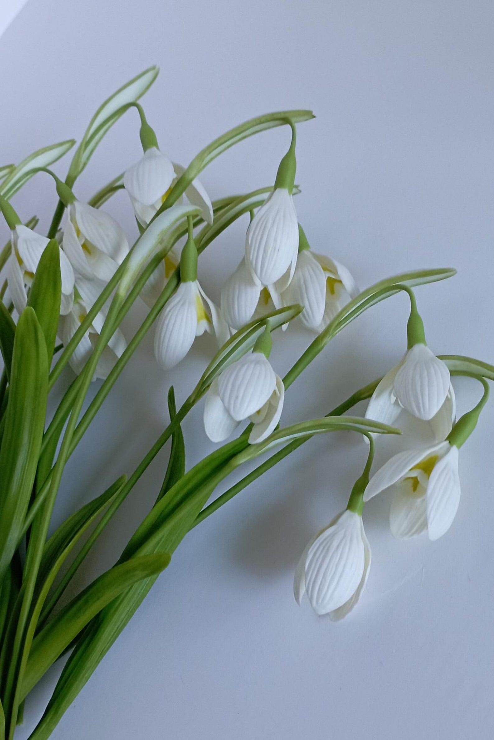 Handmade Realistic Snowdrop • Polymer Clay Flower Art • Romantic Gift ...