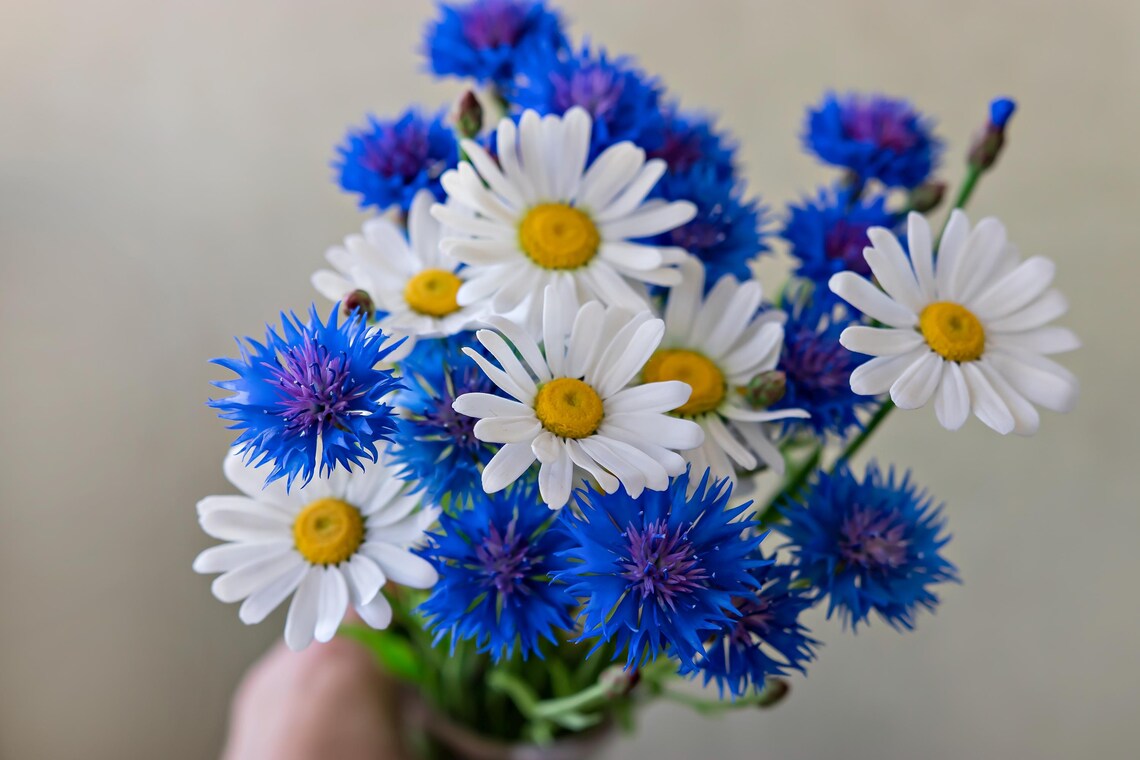 Cornflower | Handmade Cornflower Bouquet | Cold Porcelain Real Touch ...