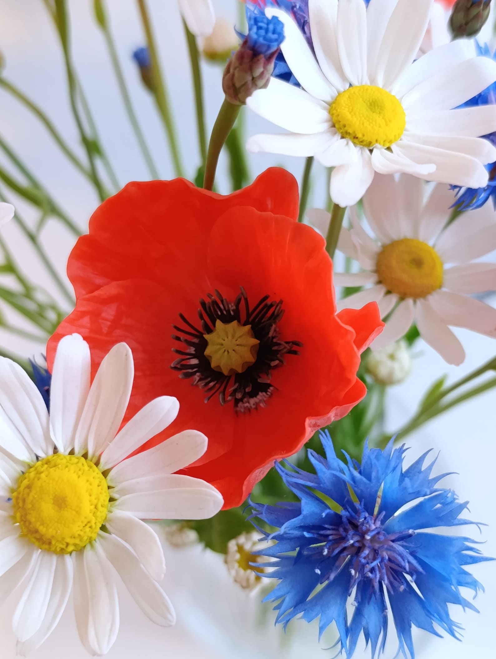 Cornflower | Handmade Cornflower Bouquet | Cold Porcelain Real Touch ...