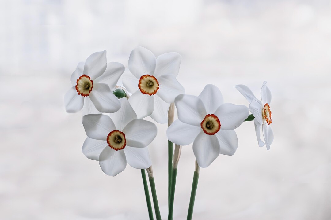 Handmade Cold Porcelain Daffodils, Realistic Flower Arrangements, Home ...