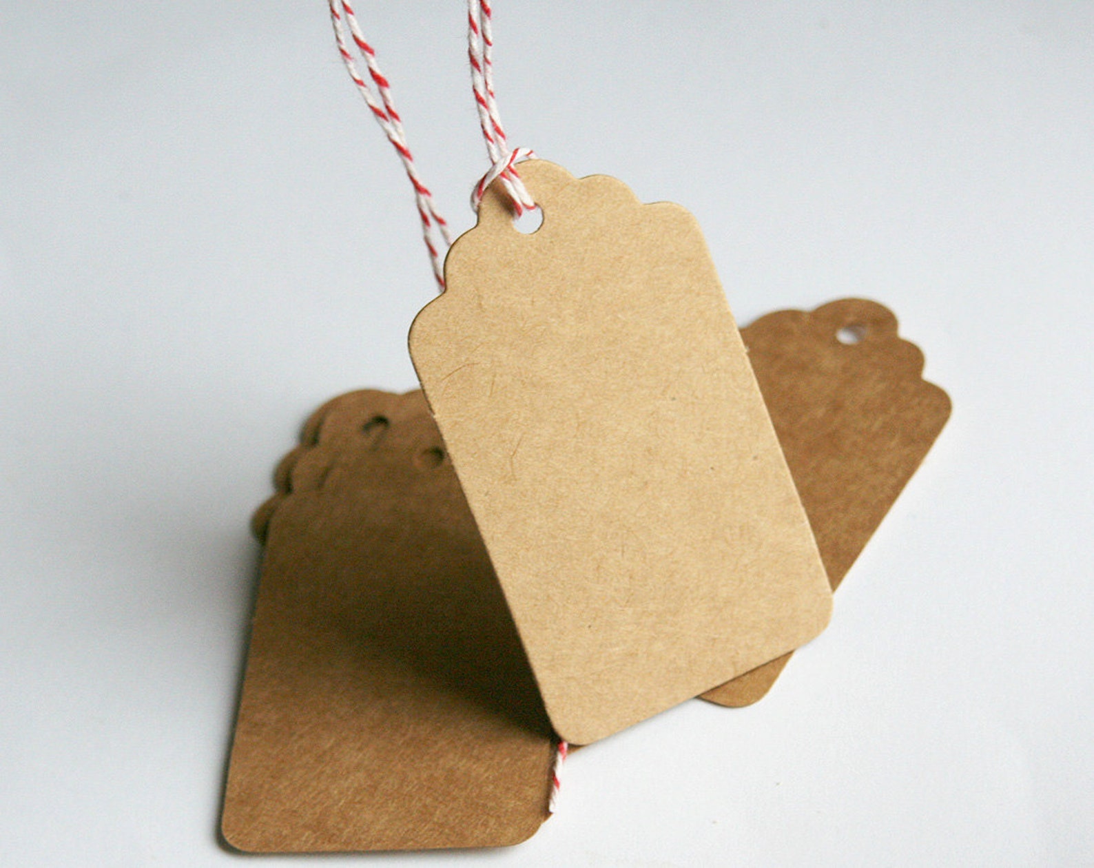 Rectangular Tag, Kraft Cardstock, Hole for Hanging - for Christmas ...