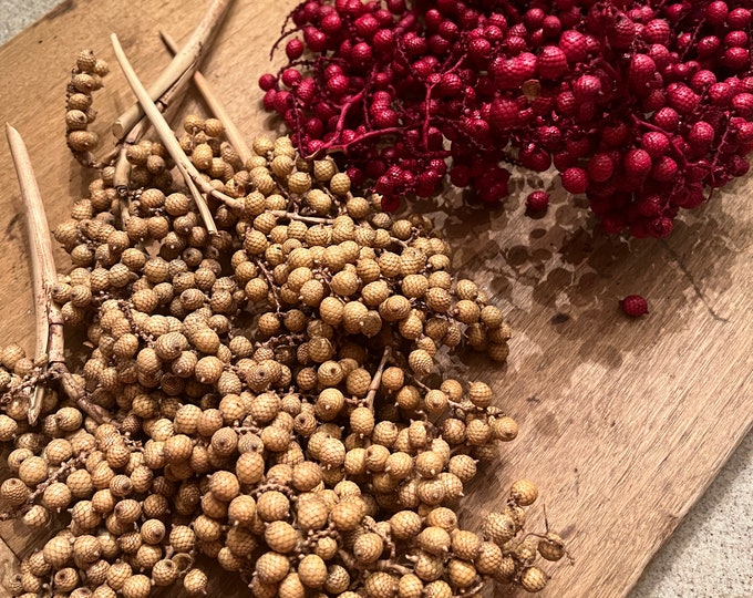 Dried Natural Canella Berry Bundles - Etsy