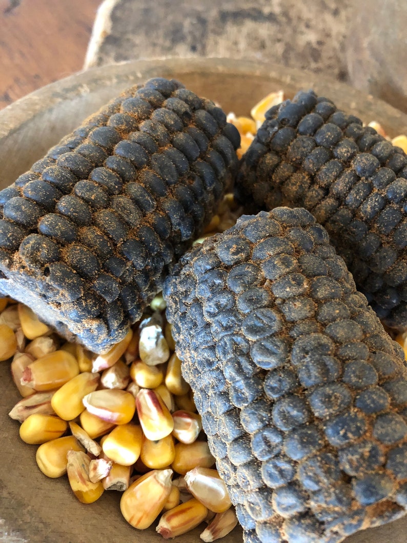 Blackened Beeswax Corn Cob Chunks 338 FallBowl | Etsy