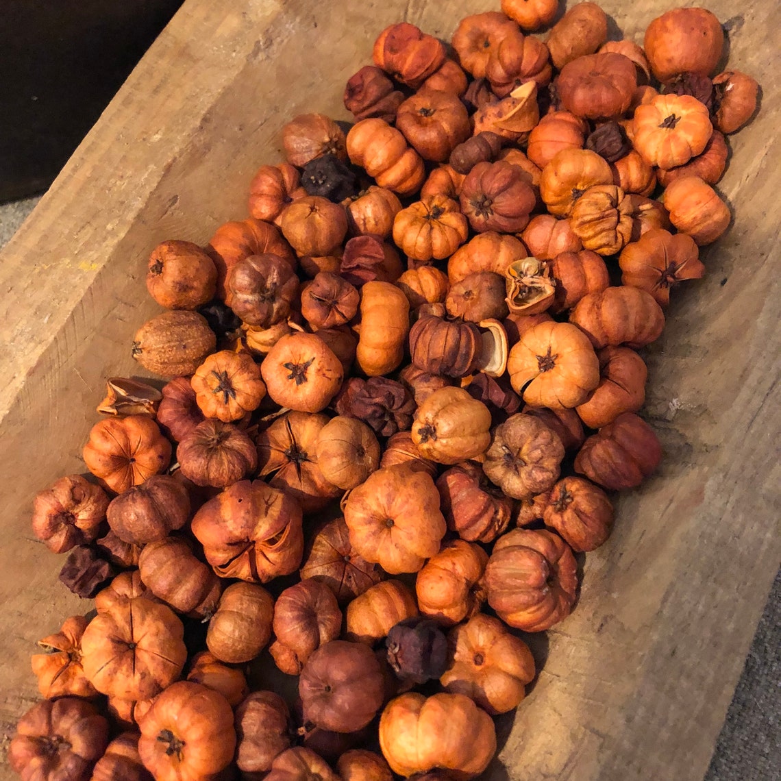 Dried Natural Putka PodsPumpkin PodsFall DecorPumpkin | Etsy