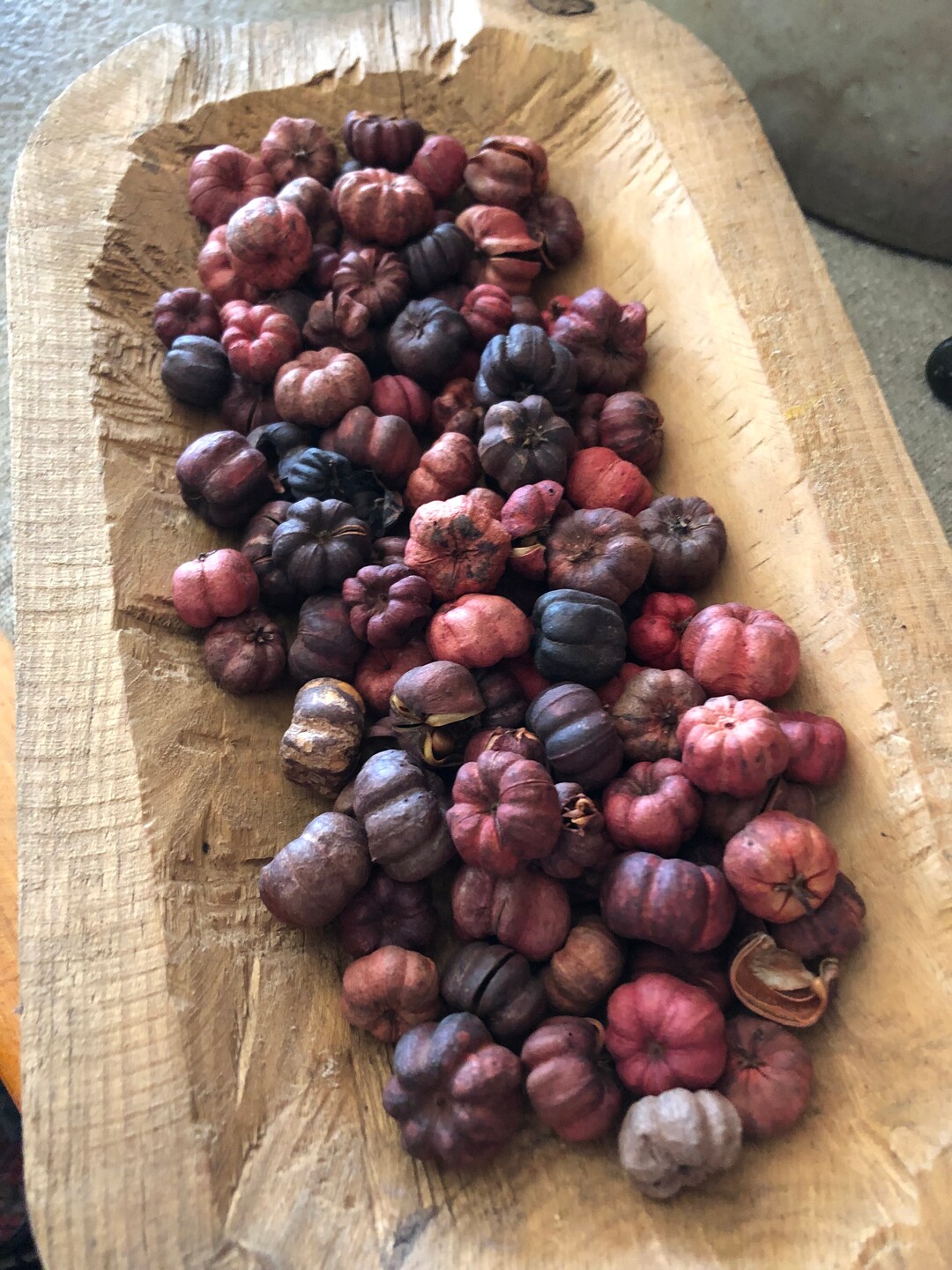 Dried Natural Putka Pods~pumpkin Pods~fall Decor~pumpkin Decor ...