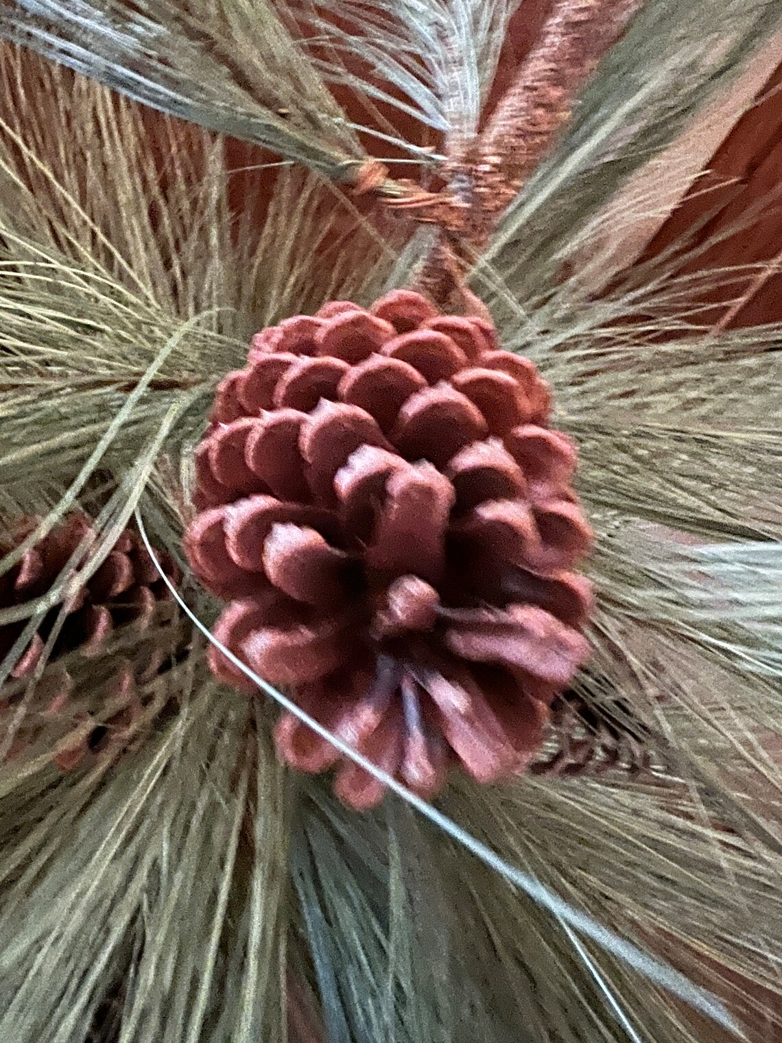 Long Needle Pine Tree With Pinecones and Burlap Basechristmas - Etsy